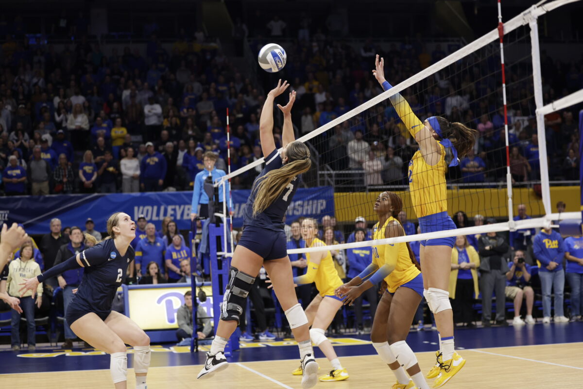 Cougar women’s volleyball’s NCAA Tournament runs ends in loss to Pitt ...